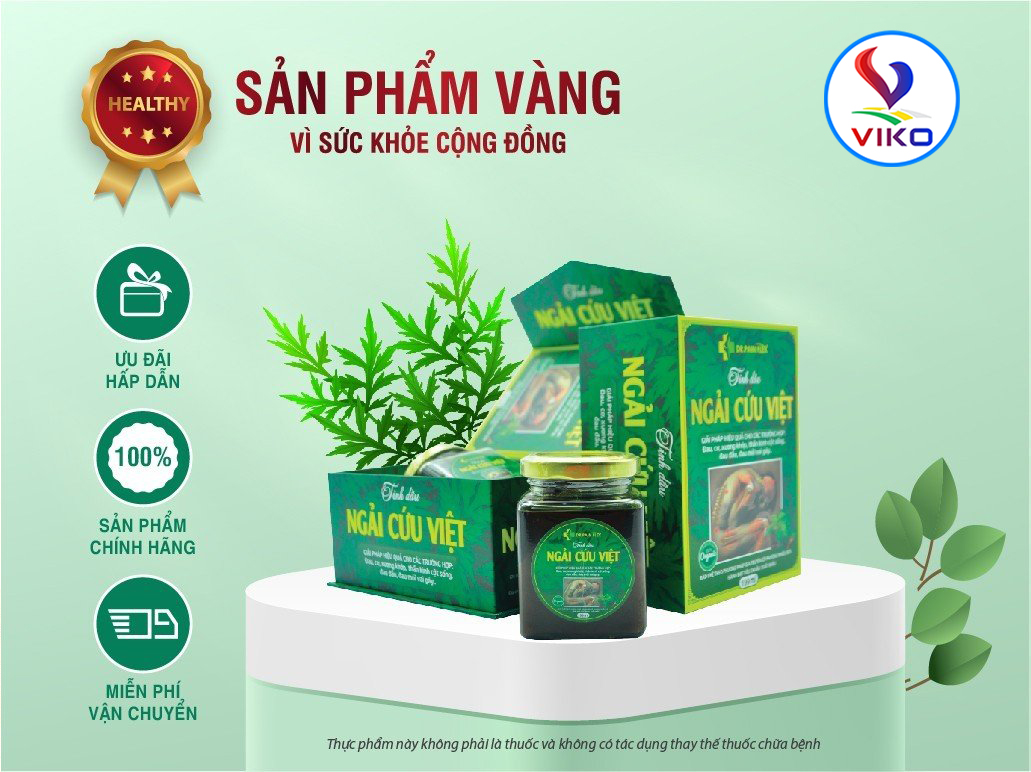 Viko Việt Hàn - Dịch Vụ Đông Y Tiêu Biểu Năm 2023